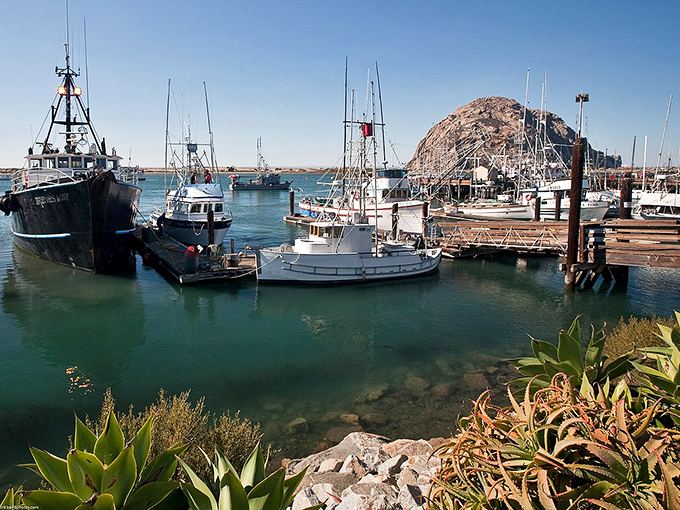 Morro Bay's iconic rock stands like nature's skyscraper, a 576-foot volcanic plug that's been photobombing beach pictures for centuries.