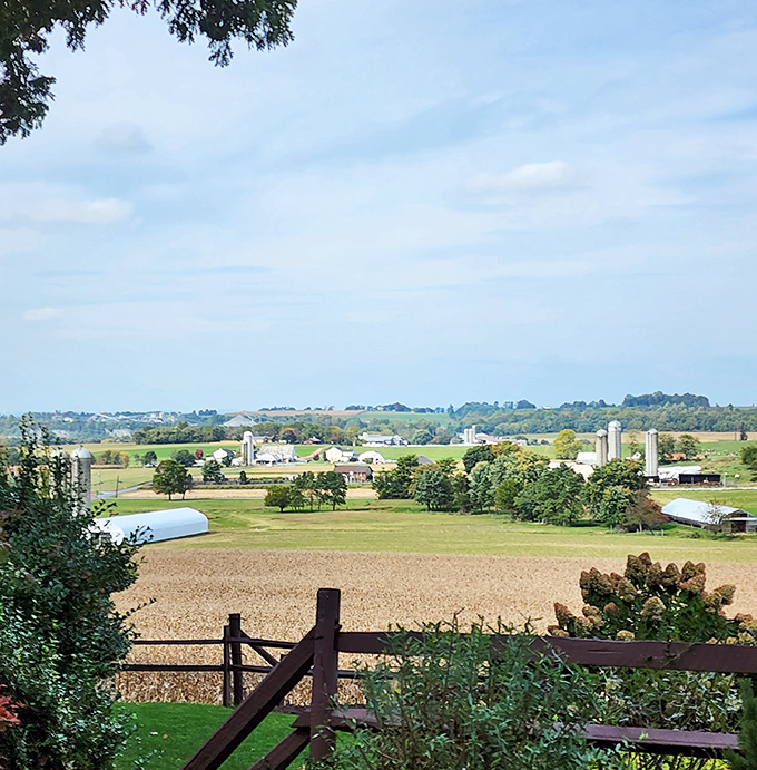 Farm country spreads like a living quilt, each field stitched together by generations of careful hands.