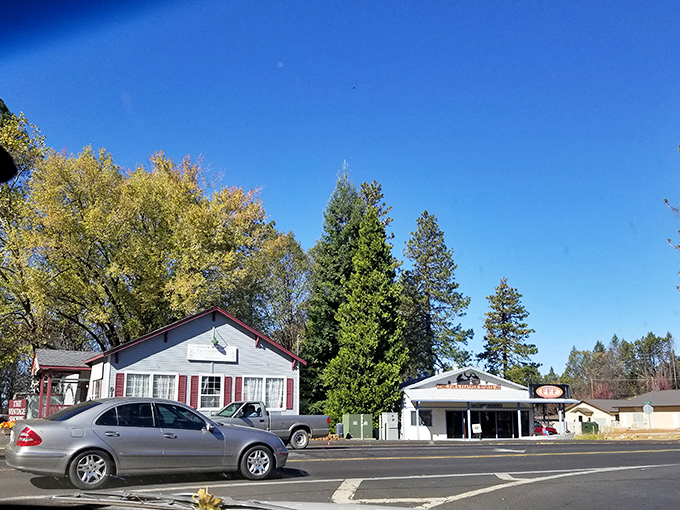 Paradise rebuilds among the pines, showing the resilience and determination of mountain communities.