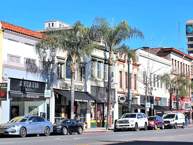 Tree-shaded streets create the perfect backdrop for afternoon strolls through elegant neighborhoods.