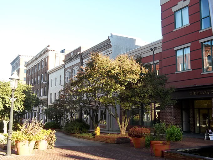 Salisbury's downtown mixes historic charm with modern touches in a way that just works perfectly together.