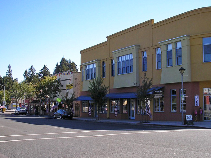 Sebastopol's downtown blends historic charm with modern flair, where local businesses thrive in colorful buildings.