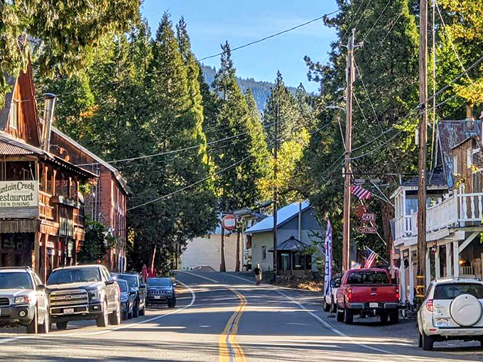 Sierra City's main street might be small, but it's big on charm with historic buildings framed by towering pines.