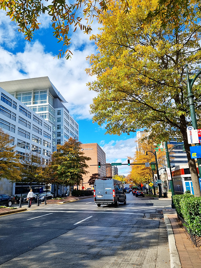 Silver Spring's tree-lined streets burst with autumn color, framing modern buildings where urban convenience meets suburban housing values.