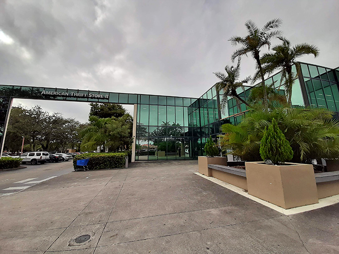 This sleek storefront promises that modern thrift shopping can be both sophisticated and wallet-friendly simultaneously.