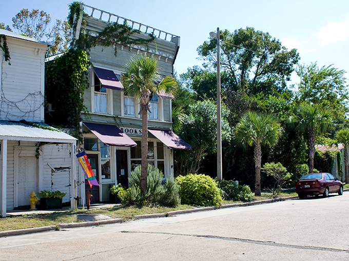 Brick buildings line Apalachicola's main street, housing restaurants where the oysters traveled yards, not miles, to reach your plate.