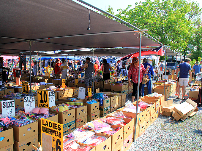 Box-diving for bargains! These cardboard containers at Blue Ridge Market might hold exactly what you've been searching for all these years.