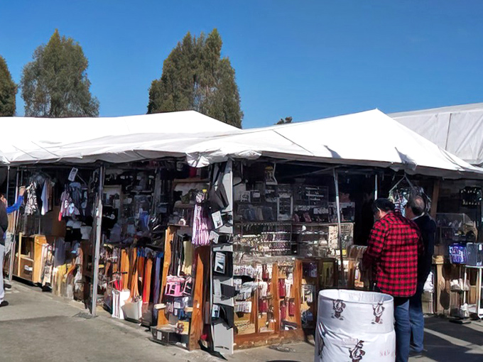 Wide aisles and endless possibilities make this Central Valley market a family-friendly treasure hunting expedition.