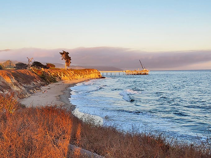 Golden hour magic transforms Carpinteria's coastline into nature's own watercolor painting. Who needs filters when you've got California sunsets?