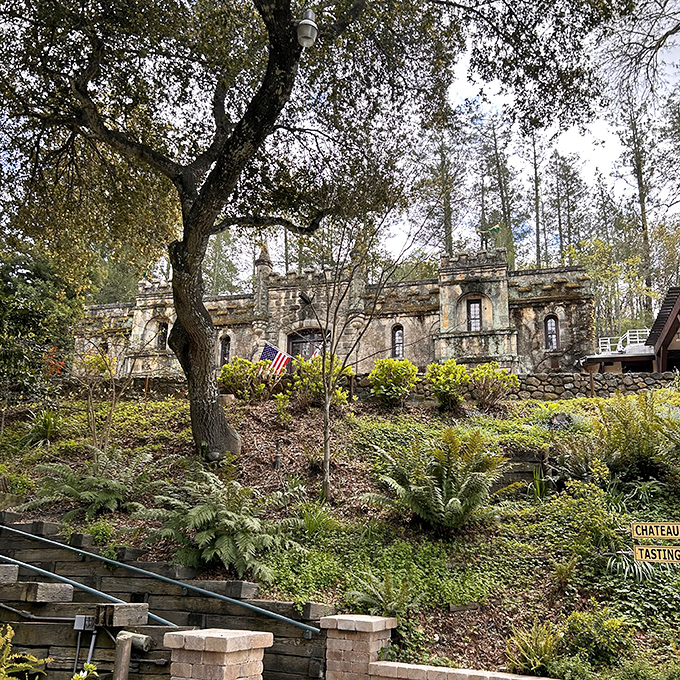 Chateau Montelena: This stone castle winery looks like it was plucked from the French countryside and nestled among California's rolling vineyards.