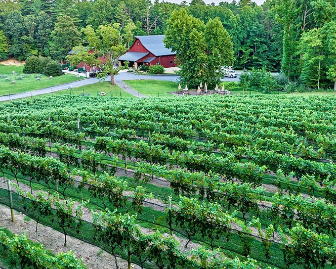 Just steps from DC but worlds away in pace &ndash; Clifton's lush greenery offer the perfect small-town escape. 