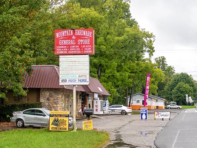 The misty mountainside of Cosby remind us that some views are meant to be savored, not snapped and forgotten.