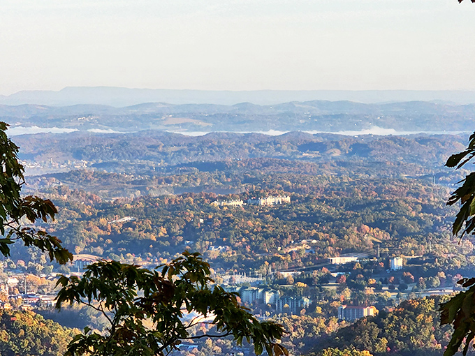 Cosby's dense forests hide countless treasures, from tumbling waterfalls to wildlife that still roams free.