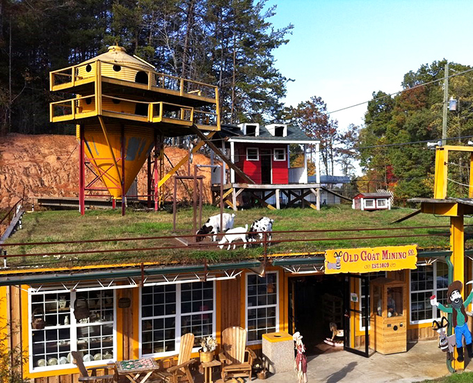 Mining for memories! Dillard's quirky attractions prove that mountain towns know how to blend history, humor, and goats into perfect family fun.