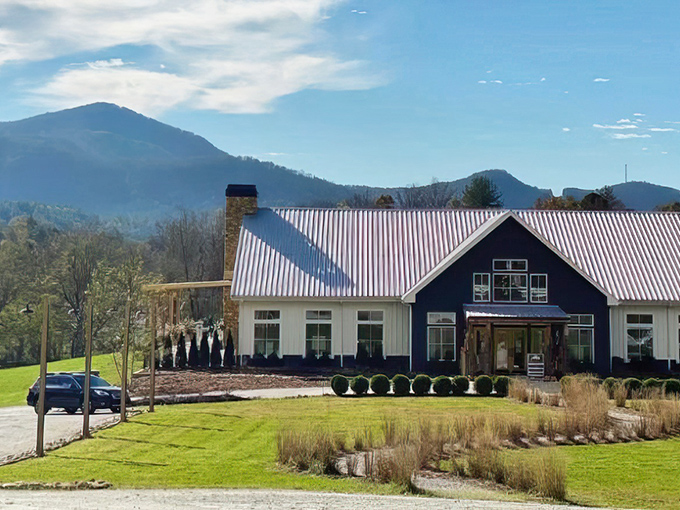 Modern farmhouse style meets mountain views in Dillard. Those peaks in the background make even architecture jealous.