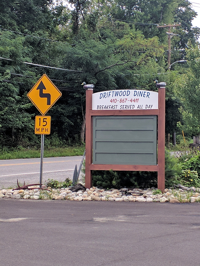 Nestled near the water in Shady Side, Driftwood Diner's simple exterior hides seafood treasures worth the winding drive.
