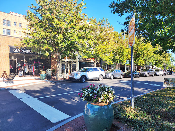 Flower power and purchasing power! Gainesville's charming streetscapes bloom with affordable options for the Social Security set.