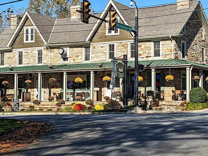 Autumn's golden light bathes Harry's historic facade. Inside, hot dog perfection awaits the hungry traveler.