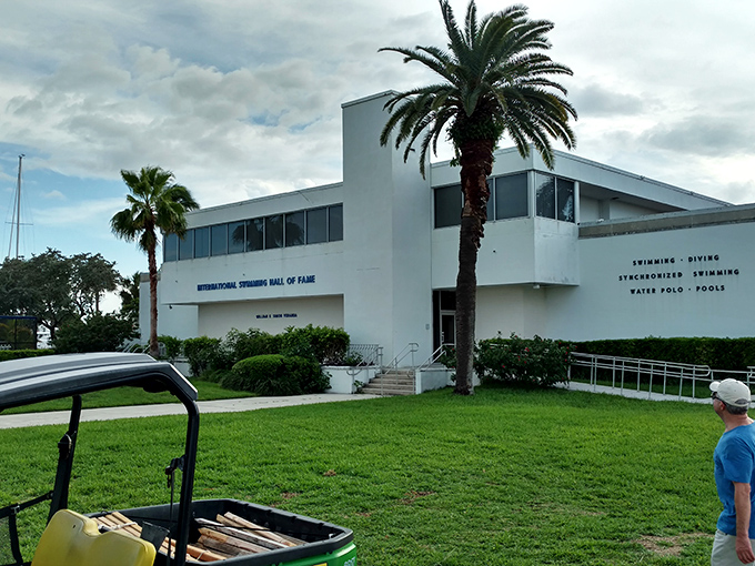 Palm trees frame this temple to aquatic achievement, where Olympic dreams are preserved for future generations.