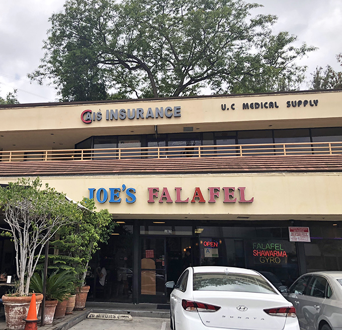 Tucked between insurance offices lies falafel paradise. Joe's proves great food doesn't need fancy surroundings.