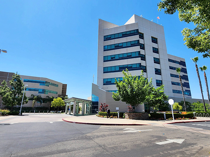 Tree-lined streets and small-town charm make Merced a budget-friendly haven for retirees seeking California sunshine without the golden price tag.