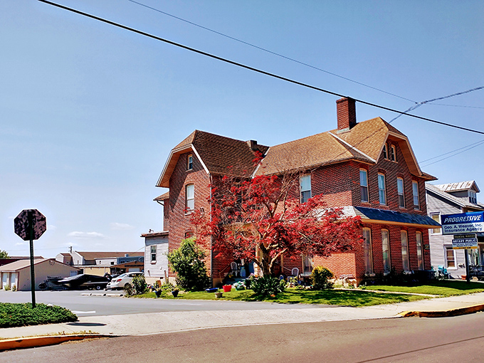 A stately brick house with a vibrant red Japanese maple creates a picturesque scene in New Holland.