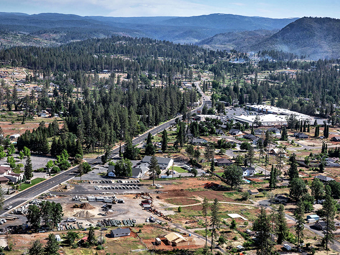 New growth emerges in Paradise, where mountain views and community spirit create true beauty.