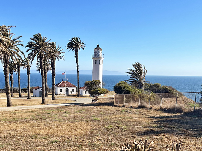 Palm trees and a lighthouse &ndash; Point Fermin delivers that only-in-California coastal magic that feels like a movie set.