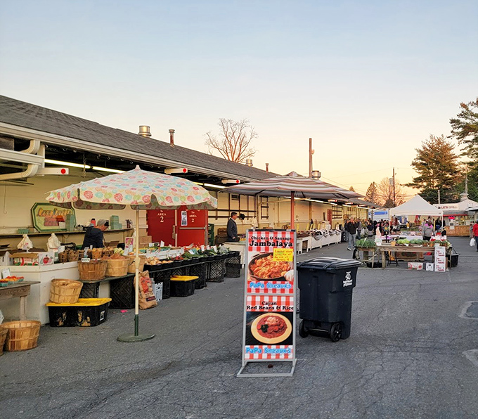 The parking lot at Root's transforms into a community gathering spot where shopping is just part of the social experience.