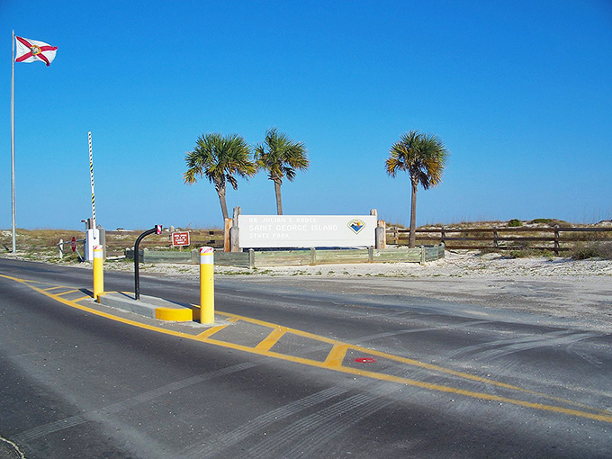 Three palm trees salute the endless horizon where Florida's Panhandle meets the Gulf in perfect, unhurried harmony.