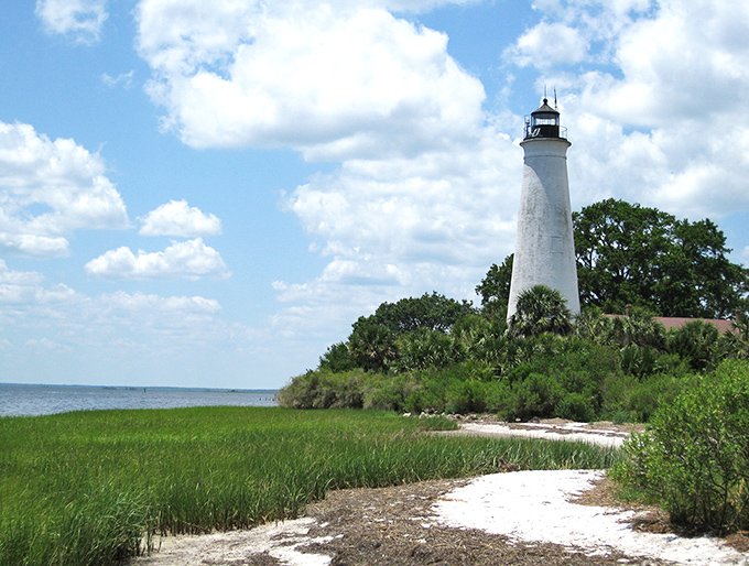 Weathered but unwavering, just like my commitment to dessert. St. Marks lighthouse guides visitors through marsh trails where alligators judge your hiking pace.