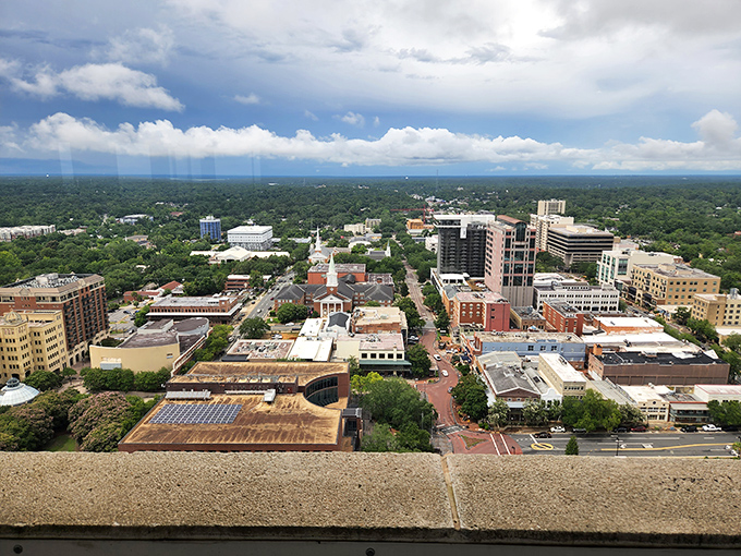 University campuses bring youthful energy to cities that appreciate both wisdom and learning.
