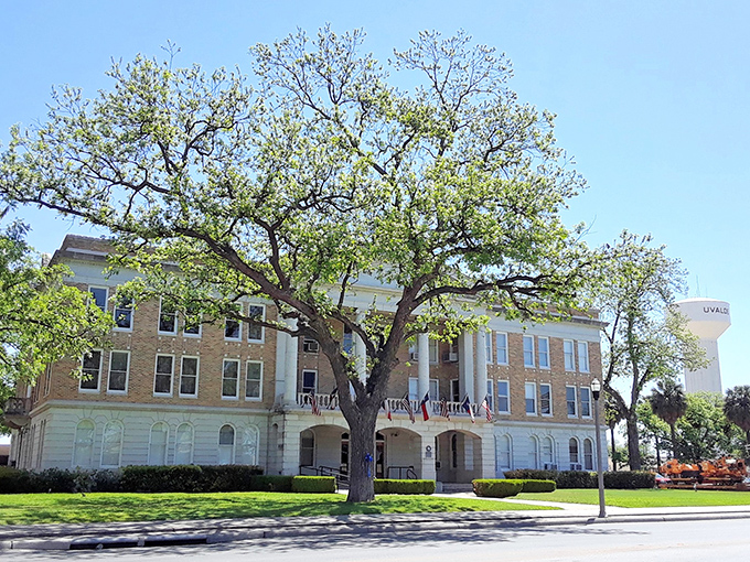 The stunning Uvalde County Courthouse stands gracefully beneath a canopy of trees, blending rich history with timeless Texas charm and southern beauty.