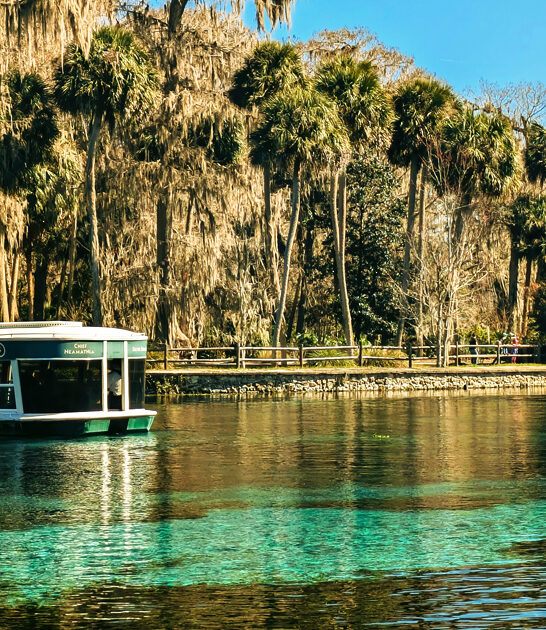 acre state florida park ftr