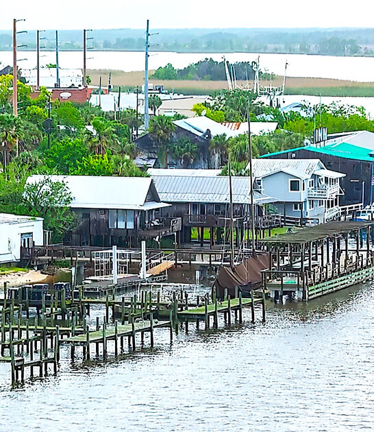 adorable town florida ftr