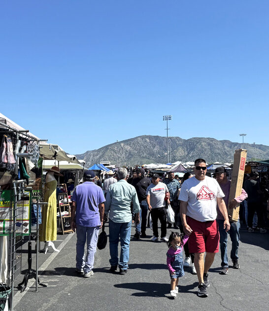 affordable bargain market california ftr