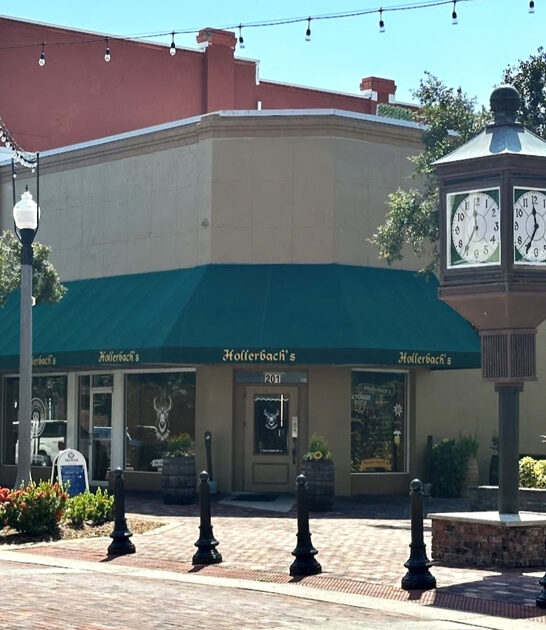 alpine schnitzel restaurant florida ftr