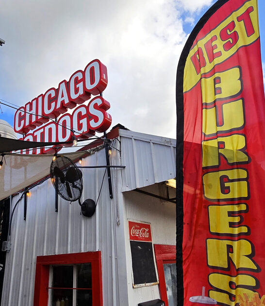 amazing chicago dog florida ftr