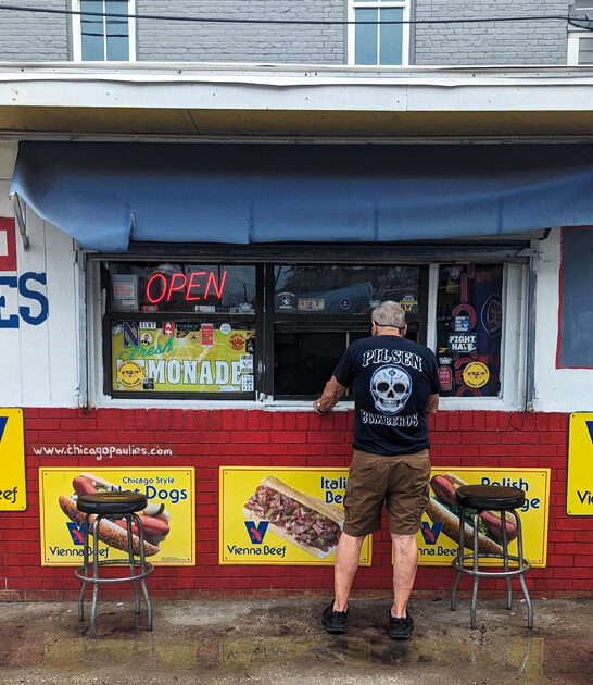 amazing chicago dogs florida ftr