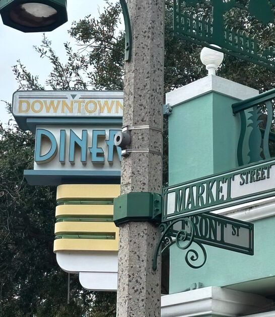 amazing chicken waffles florida ftr