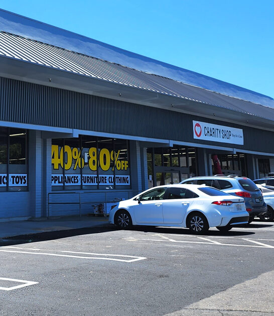 amazing discount shop california ftr