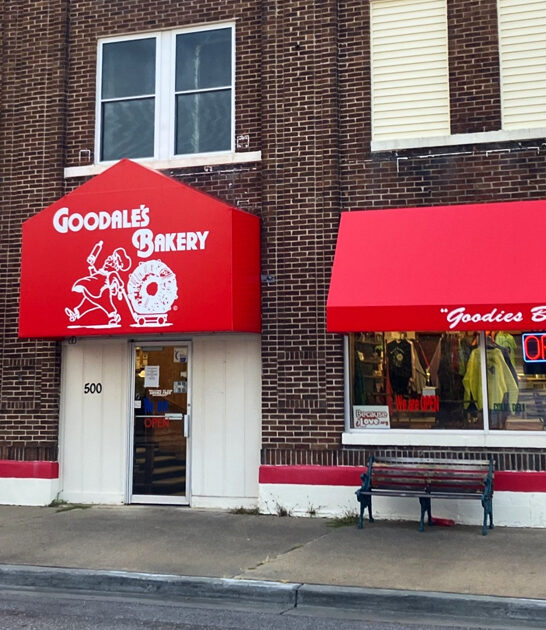 amazing donut bakery michigan ftr