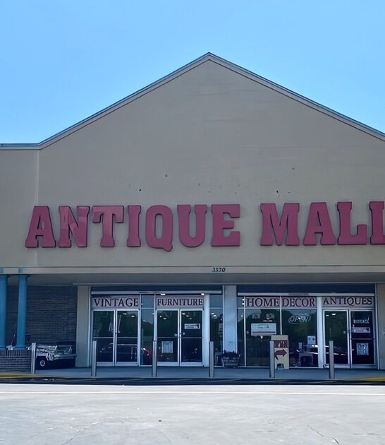 antique finds florida wonderland ftr