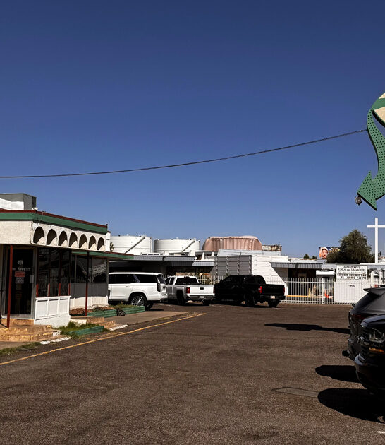 arizona diner pork chop ftr
