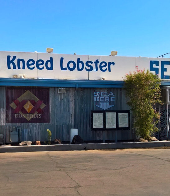 arizona fish restaurant chips ftr