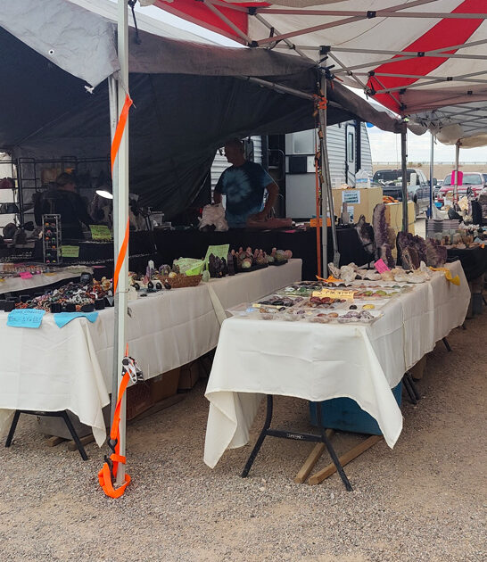 arizona flea market drive ftr