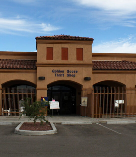 arizona giant thrift store ftr