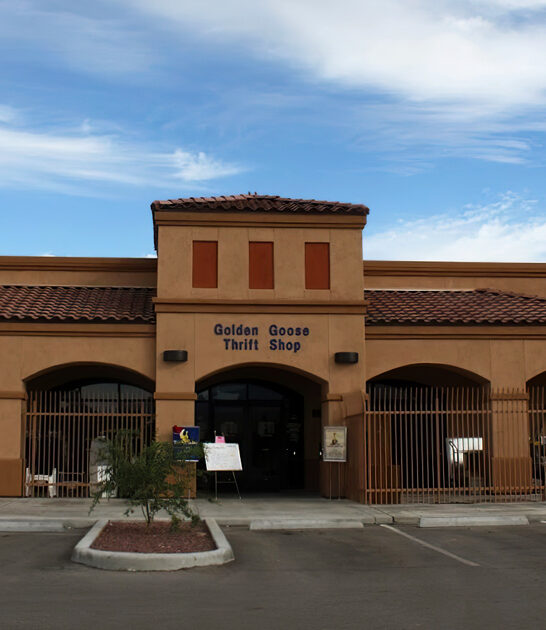 arizona secondhand huge shop ftr