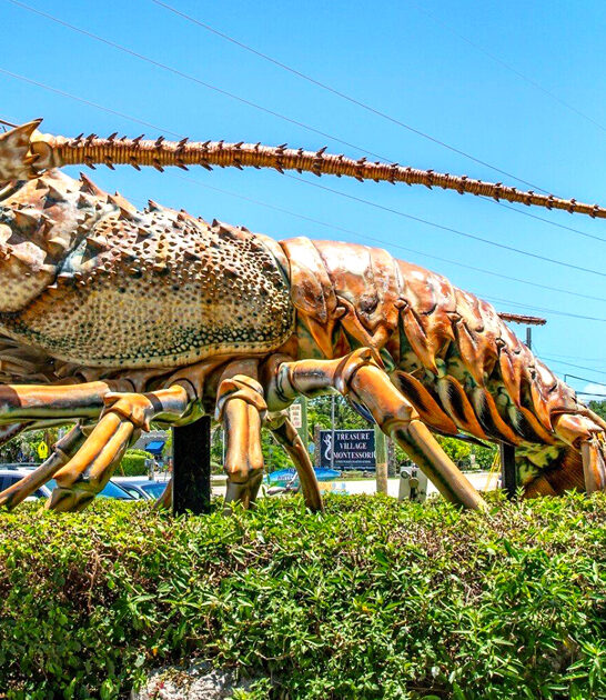 attraction florida weird roadside ftr