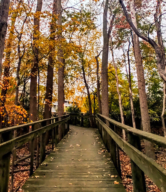 awesome state park ohio ftr